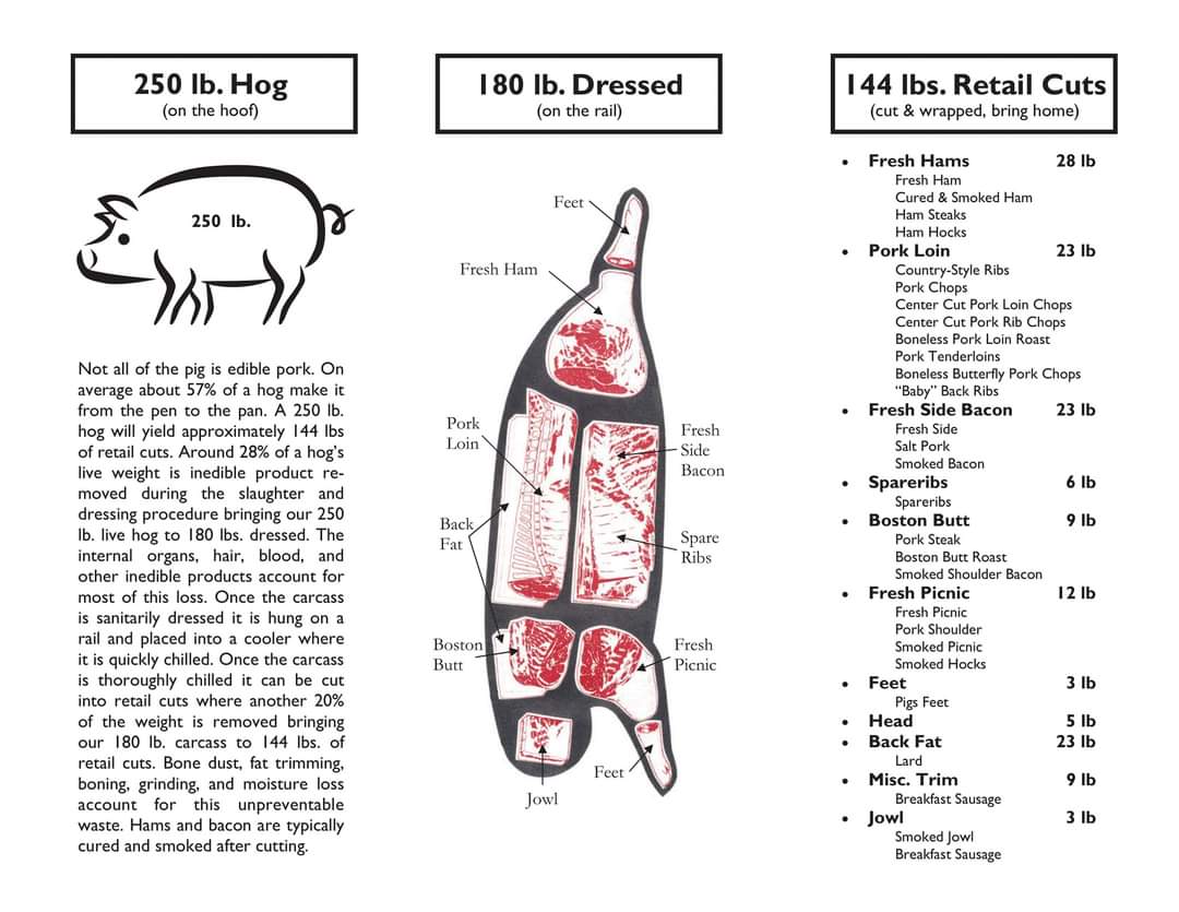Whole & Half Hog – hogheavenhomesteadllc.com